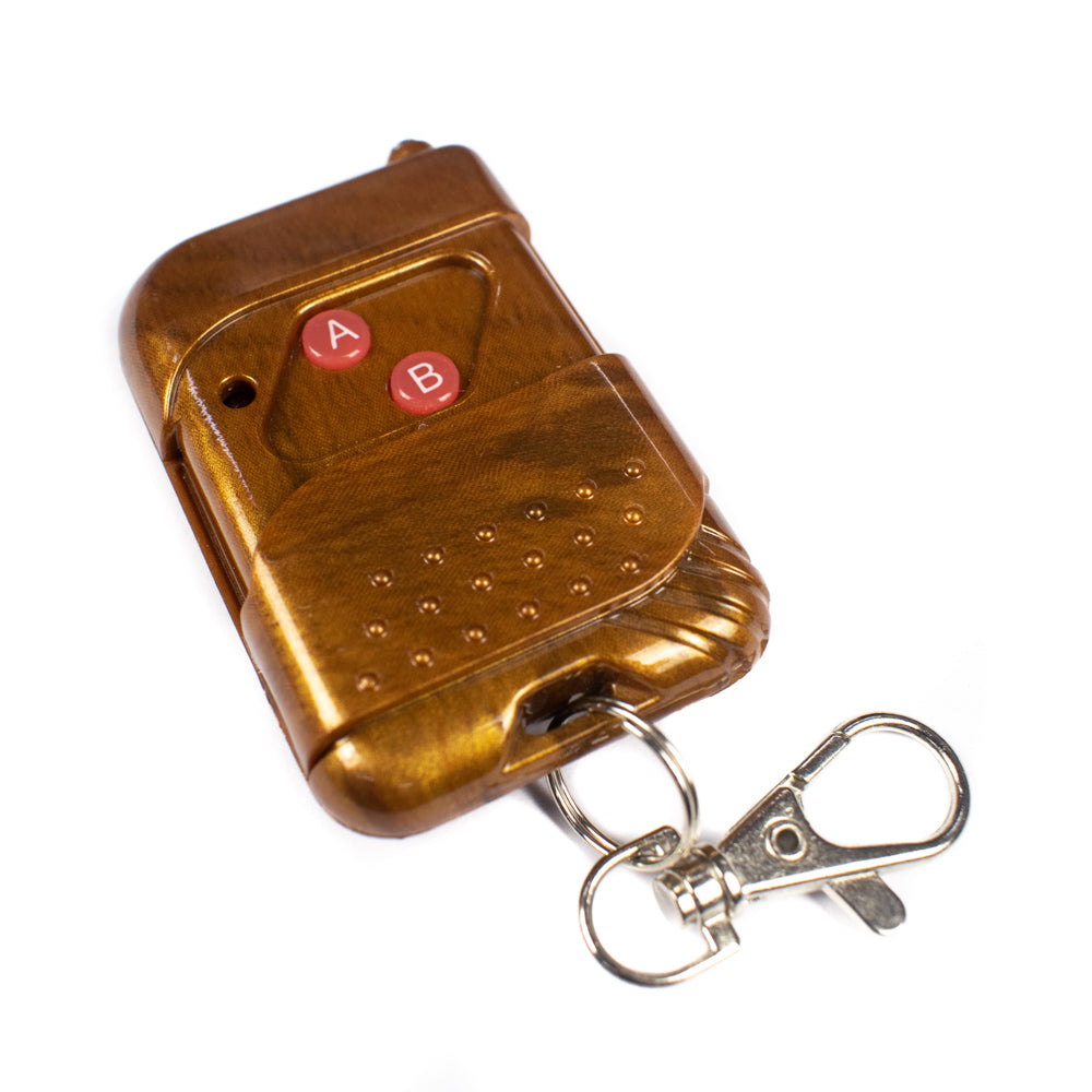 Buy 2 Channel Wireless Two Button RF Remote 433MHz at HNHCart.com