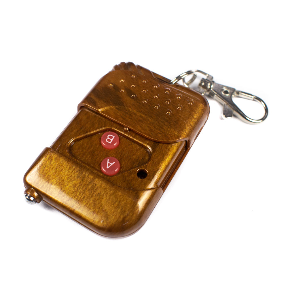 Buy 2 Channel Wireless Two Button RF Remote 433MHz at HNHCart.com